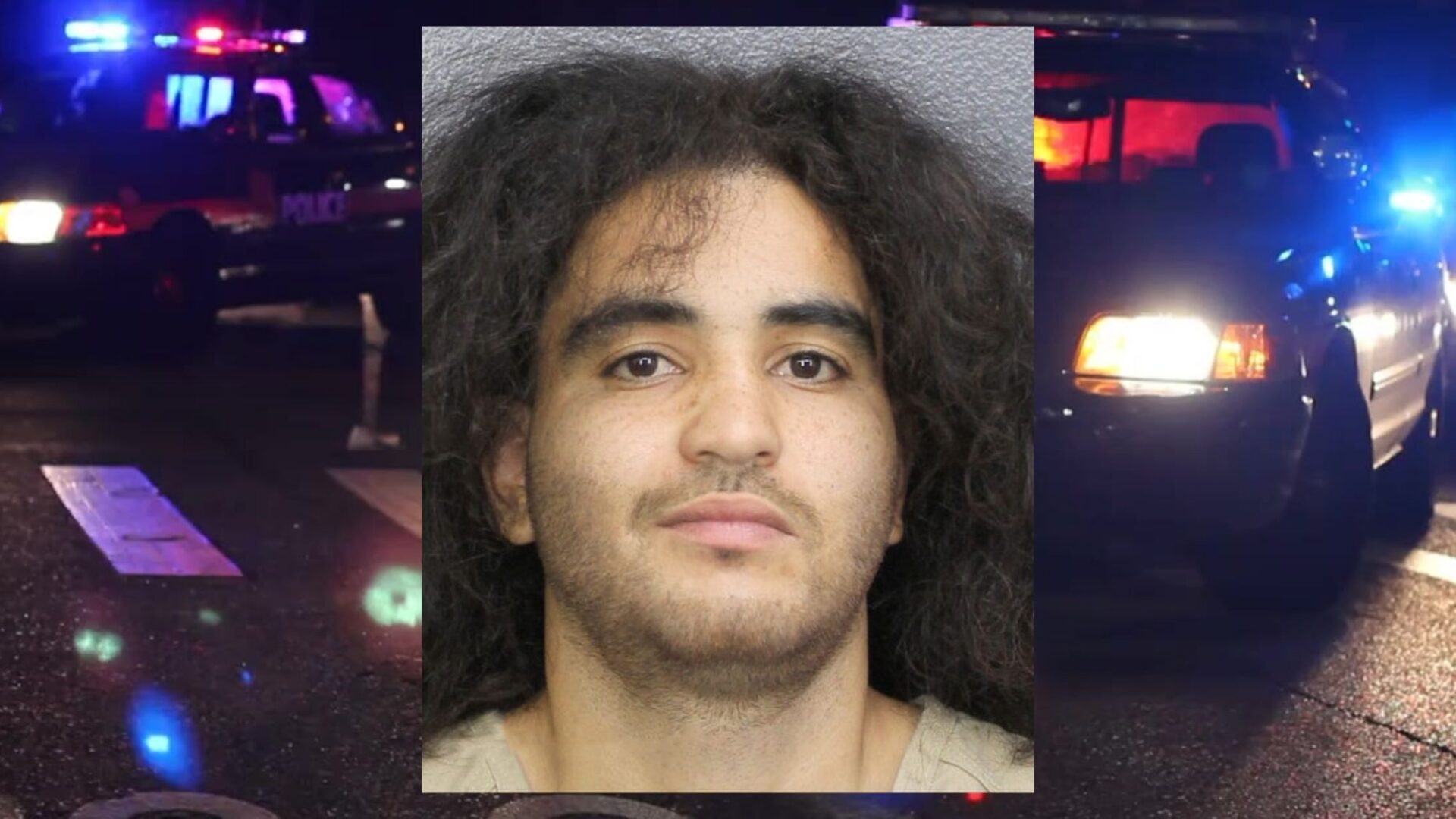 K-9 Captures Man After Fleeing Scene Of A High-Speed Hit And Run ...