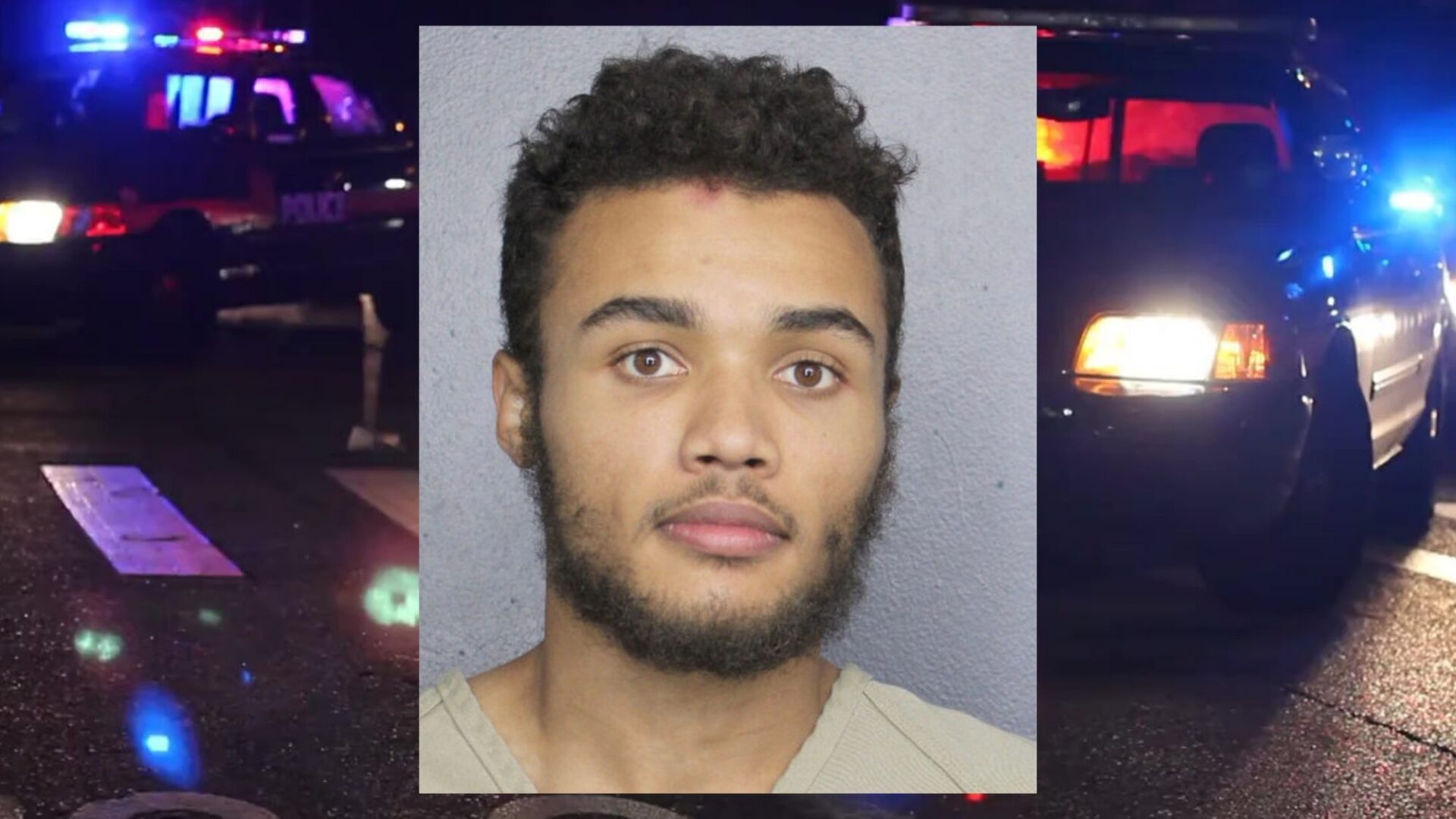 Canal Chase Leads To Man's Arrest For Alleged Domestic Battery, Animal ...