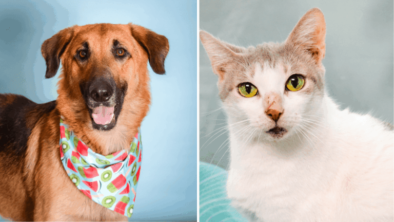 Margate Talk - Margate News, Crime, Politics And Sports