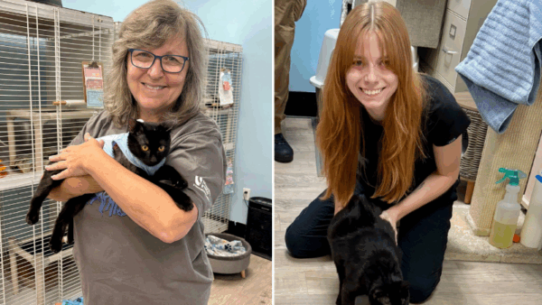 Cats Exclusive Offers Hope For Abandoned Felines Left At Its Doorstep ...